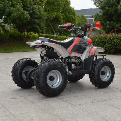 Cina 110cc Catena rotante quattro ruote ATV Torque massima Nm 20-40Nm chilometraggio di guida 50-70km in vendita