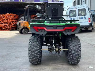 Cina Motore a catena 300cc Gioco sportivo all'aria aperta Quad Bike elettrico Adulto ATV 4x4 in vendita