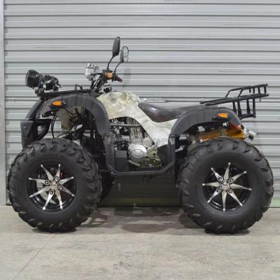 Cina 300 kg capacità di classificazione 250cc Off Road 4 ruote moto ATV per escursioni off-road in vendita