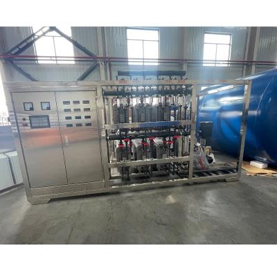 Cina Modulo di elettrodeionizzazione di 30 tonnellate controllato da PLC per la purificazione dell'acqua ultra pura in vendita