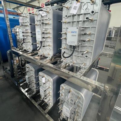 Cina Modulo di elettrodeionizzazione di 30 tonnellate controllato da PLC per la purificazione dell'acqua ultra pura in vendita