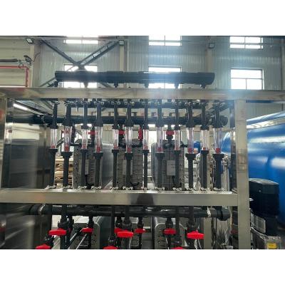 Cina Modulo di elettrodeionizzazione di 30 tonnellate controllato da PLC per la purificazione dell'acqua ultra pura in vendita
