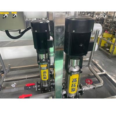 Cina Sistema di osmosi inversa in acciaio inossidabile di 300 kg di capacità per la filtrazione dell'acqua potabile in vendita