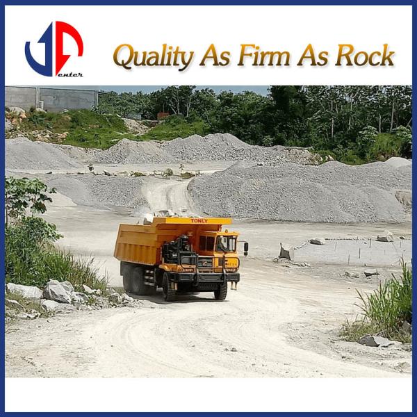 Quality TLD Mining Dump Truck for sale