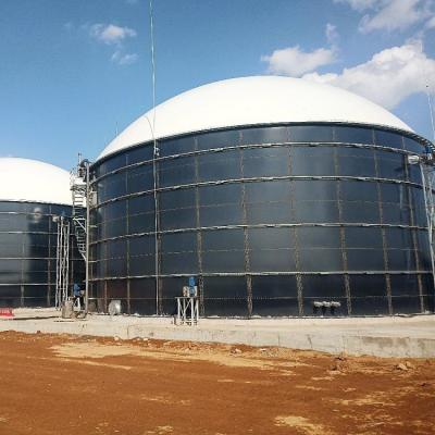 중국 1500m3 림 장착 바이오가스 홀더 풍선 (PVDF 멤브레인 포함) 바이오가스 플랜트용 판매용