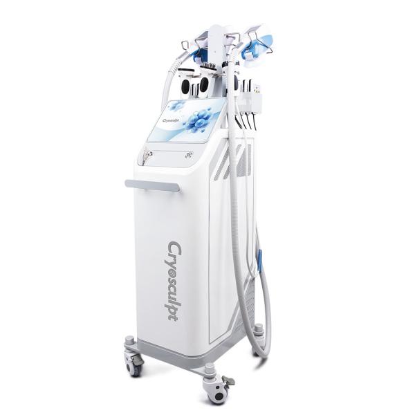 Quality 360° Cryolipolysis Fat Freezing CoolSculpting Body Slimming Weight Loss Machine for sale