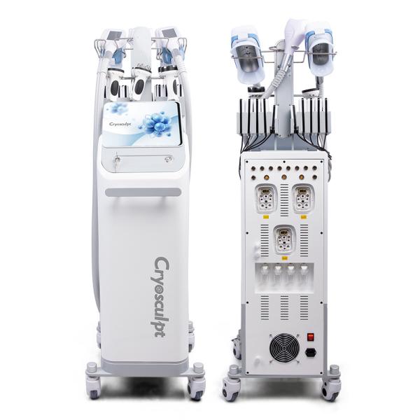 Quality 360° Cryolipolysis Fat Freezing CoolSculpting Body Slimming Weight Loss Machine for sale