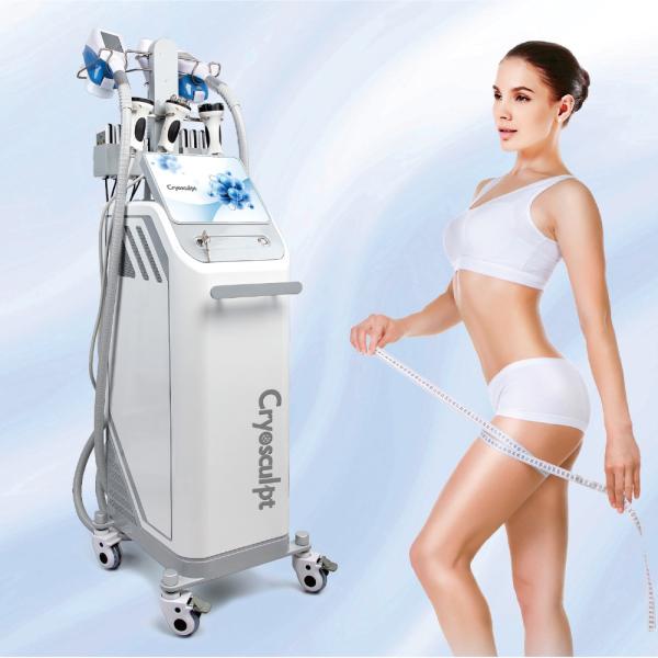 Quality 360° Cryolipolysis Fat Freezing CoolSculpting Body Slimming Weight Loss Machine for sale