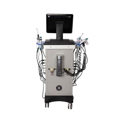 China Multifunctional 14 In 1 Hydrafacial Dermabrasion Machine With 10.4 Inch Touch Screen for sale