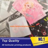 China Customized 3d Lenticular patch TPU Patch Label Garment Patch for clothing Textile Clothes 3D Flip Effect Change for sale