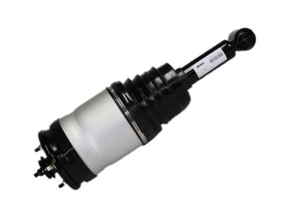 Cina Sospensione posteriore posteriore Kit For Land Rover Discovery di giro dell'aria dell'automobile 3 LR3 RPD501090 in vendita