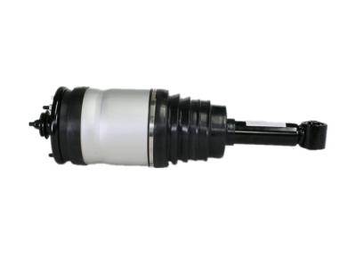 Cina Assorbitori RPD000309 RPD000308 di Rover Air Suspension Automotive Shock della terra della parte posteriore di scoperta LR3 in vendita