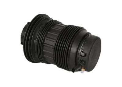 Cina Le molle pneumatiche automatiche della sospensione delle parti insaccano per l'OEM posteriore 97033353317 di Porsche Panamera 970 in vendita