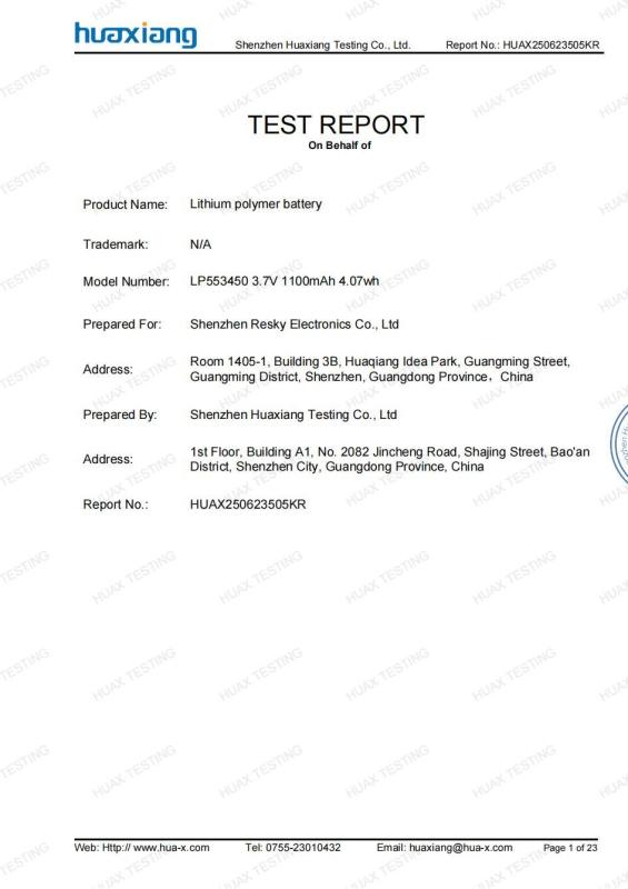 IEC62133 - Shenzhen Resky Electronics Co., Ltd.