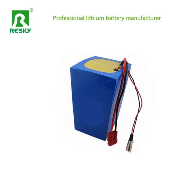 Quality 48V 20ah 1000W Lithium Battery Pack For Electric Vehicle for sale