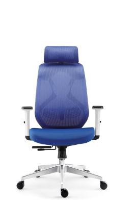 Cina Sedia di lavoro a maglia ergonomica regolabile per scrivania da 21 pollici in vendita
