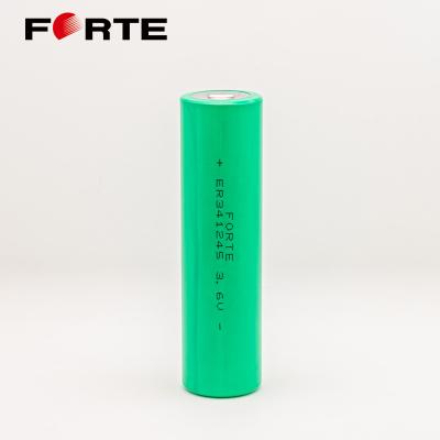 Cina dimensione di DD della batteria di pile 35000mAh del litio di 680wh/Kg ER341245 in vendita