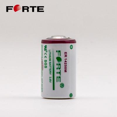 Cina Batteria al litio ad alta temperatura di proprio forte in vendita