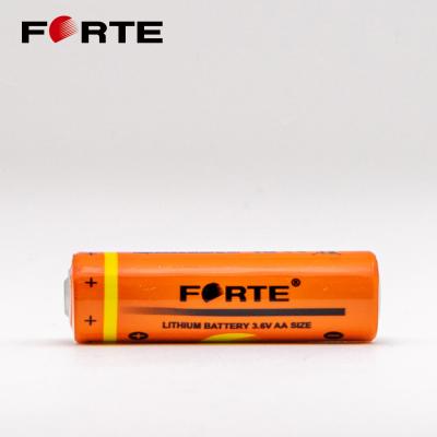 Cina Li-SOCL2 Battery ER14505 Lithium Primary Battery 3.6V 2500mAh AA Size for Water Meter, GPS in vendita