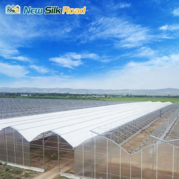 Quality Affordable Large NSR Greenhouse Economical Gothic Greenhouse with 0.6 kn/m2 Wind for sale