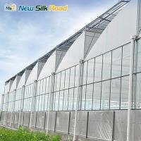 Quality Sawtooth Greenhouse for sale