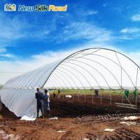 Quality Economically Viable Multi-Span Tunnel Greenhouse for Agriculture Hydroponic for sale