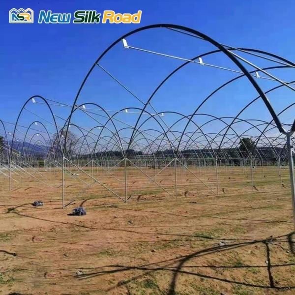 Quality Large Agricultural Film Greenhouse for Tropical Crops Single Layer and Easy for sale