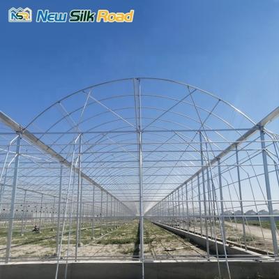 China Snow Load 140mm/h Double-Layer Greenhouse for Vegetable Growing Issiqxona in Uzbekistan for sale
