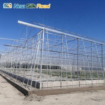 China Snow Load 140mm/h Double-Layer Greenhouse for Vegetable Growing Issiqxona in Uzbekistan for sale