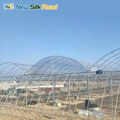 China Snow Load 140mm/h Double-Layer Greenhouse for Vegetable Growing Issiqxona in Uzbekistan for sale