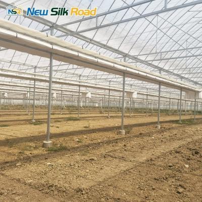China Snow Load 140mm/h Double-Layer Greenhouse for Vegetable Growing Issiqxona in Uzbekistan for sale