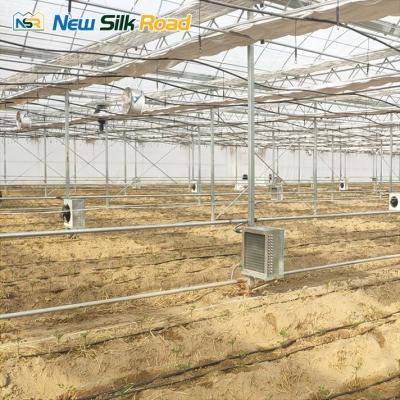 China Snow Load 140mm/h Double-Layer Greenhouse for Vegetable Growing Issiqxona in Uzbekistan for sale