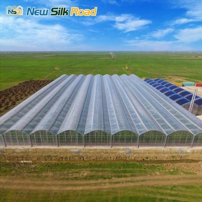 Small Scale Agriculture Length Customized Size Israel Style Polytunnel Film Greenhouse