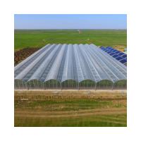 Quality Factory Price Commercial Agriculture Multi-span Plastic Film Greenhouse for sale