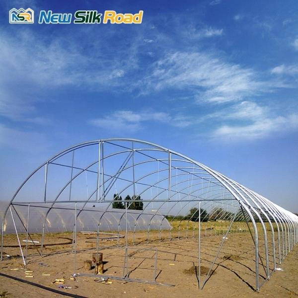 Quality Roof Vents and Side Vents Equipped Greenhouse for Single-Span Strawberry Farming for sale