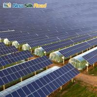 Quality Film Cover Solar Double Layer Tunnel Agricultural Greenhouses with Customized for sale