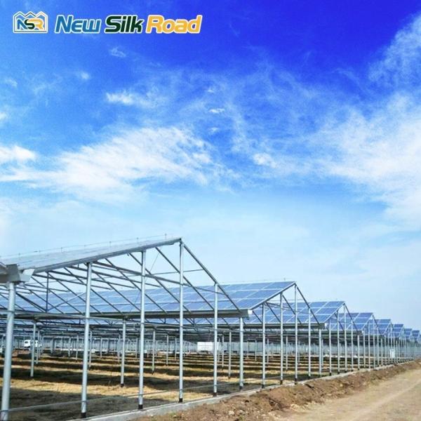 Quality Film Cover Solar Double Layer Tunnel Agricultural Greenhouses with Customized for sale