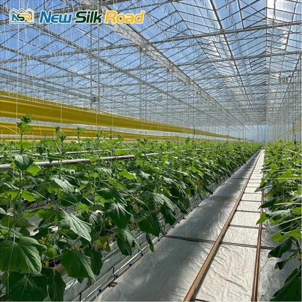 Quality Large Hydroponic Greenhouse Column for Aeroponic Planting Hydroponic System with for sale