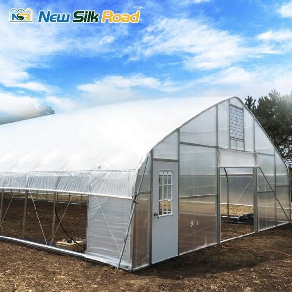 Quality Roof Vents and Side Vents Equipped Greenhouse for Single-Span Strawberry Farming for sale