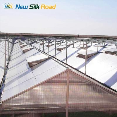 China Tomato Farming Multi-Span Greenhouse with Customized Gutter Height and Roof Vents for sale