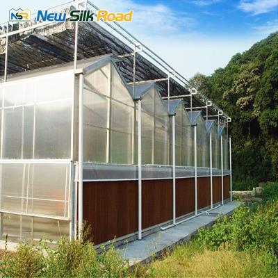 China commercial garden greenhouses polycarbonate sheet price greenhouse structure galvanized steel hollow polycarbonate sheet for ag for sale