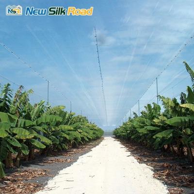 China NSR Greenhouse Cheap HDPE Agricultural Net Greenhouse For Sale for sale