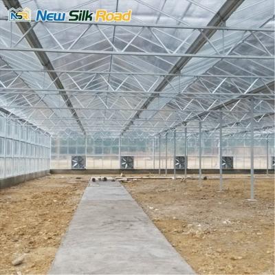 China Customized Greenhouse for Agricultural Needs Cooling System and Ventilation Included for sale