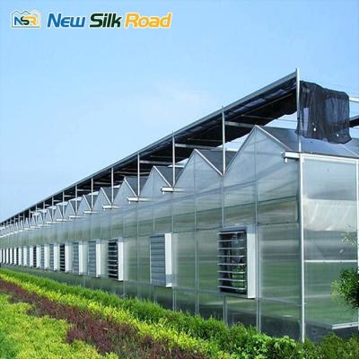 China Hydroponic System Vertical Farm Greenhouse with Optional Cooling and Ventilation System for sale