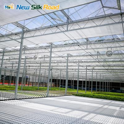 China Hydroponic System Vertical Farm Greenhouse with Optional Cooling and Ventilation System for sale