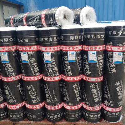 Cina Impermeabilizzazione bituminosa SBS potenziata con polimeri progettata per una prevenzione affidabile delle perdite in vendita