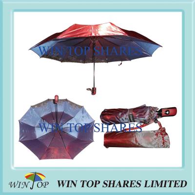 China Auto Chameleon Anole Color Change Rain Umbrella for sale