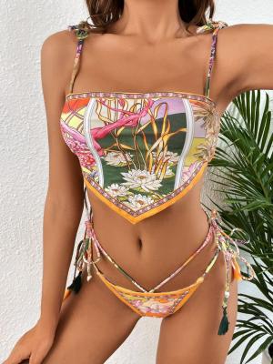 中国 透過性在庫の多彩な耐久の湿気の休暇の女性のための水着のビキニ 販売のため