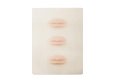 China 3D Elastic Permanent Makeup Practice Skin For Lip Tattoo Accessory for sale