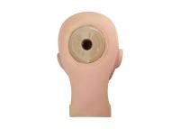 China 547g Permanent Makeup Practice Skin 3D Soft Silicone Eyebrow Microblading Practice Head for sale